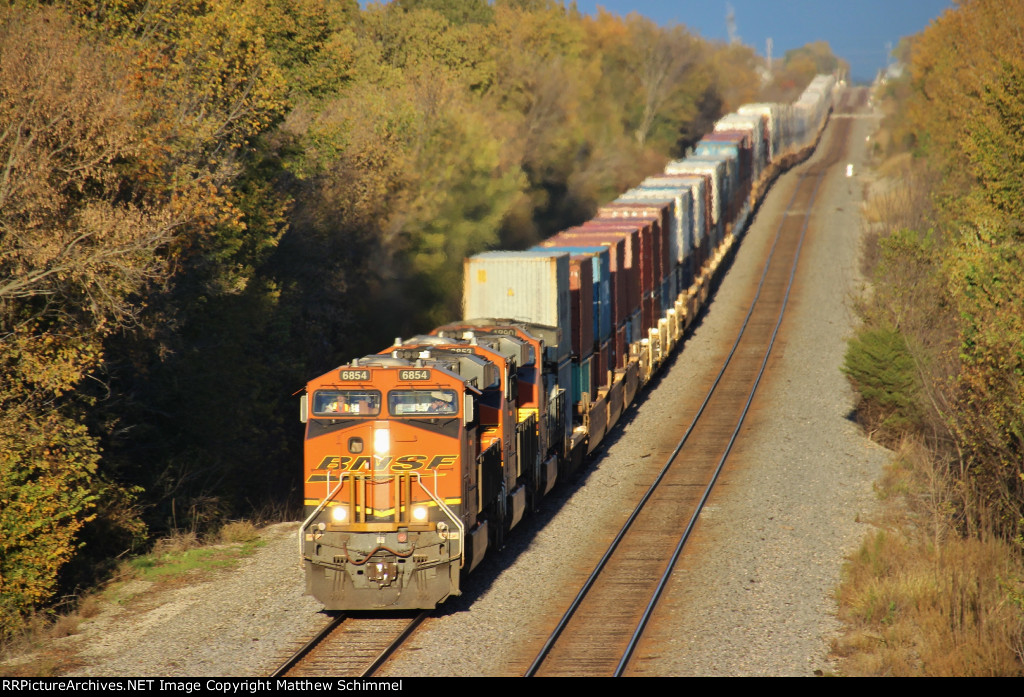Stretched Back Through Wyaconda